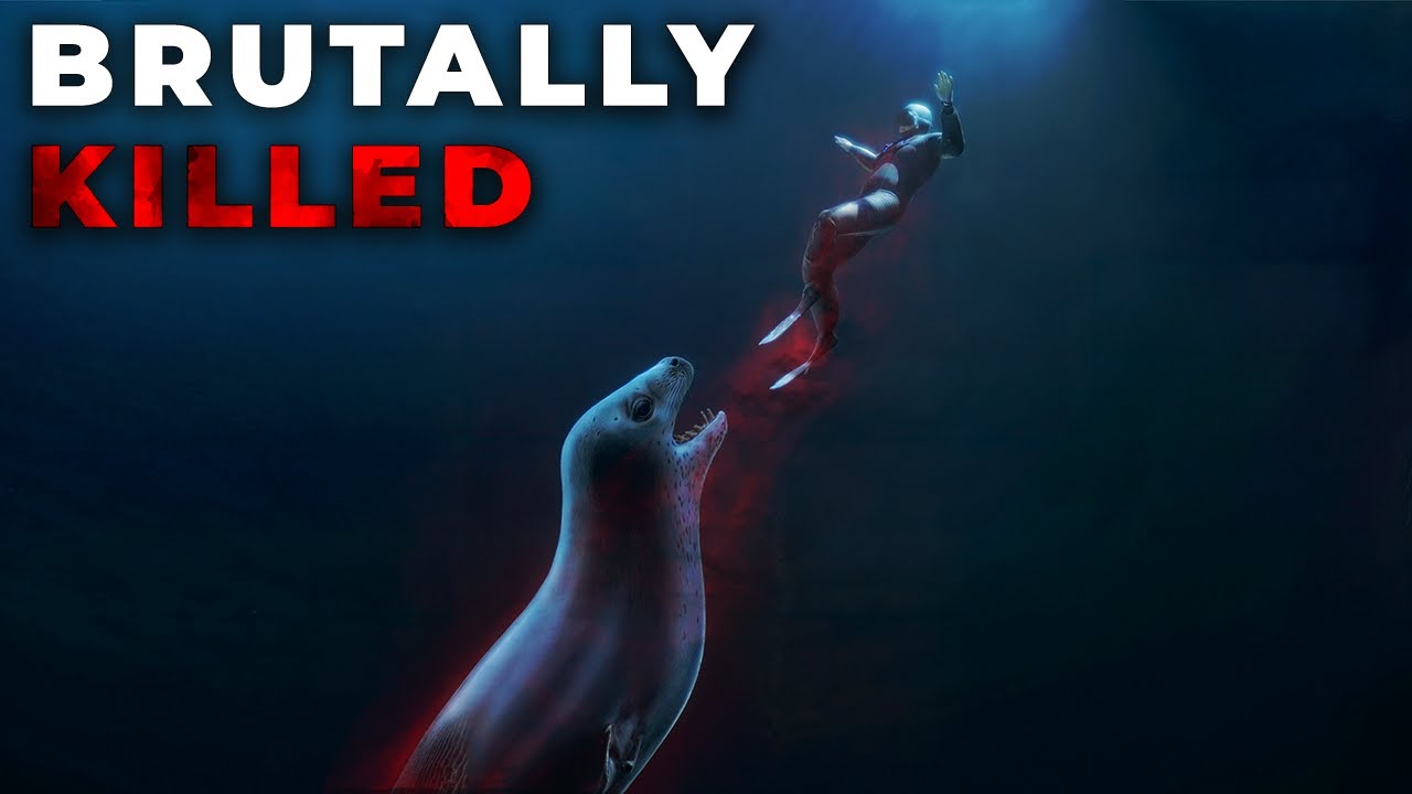 Worst Leopard Seal Attack in History - Kirsty Brown Incident - YouTube