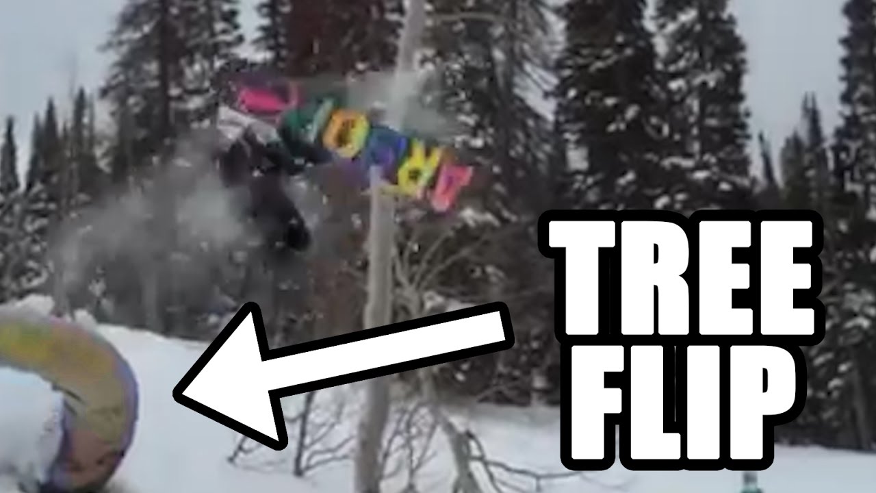 TREE FLIP!! - YouTube
