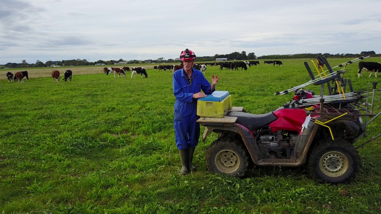 Harry summary of TechnoGrazing - YouTube