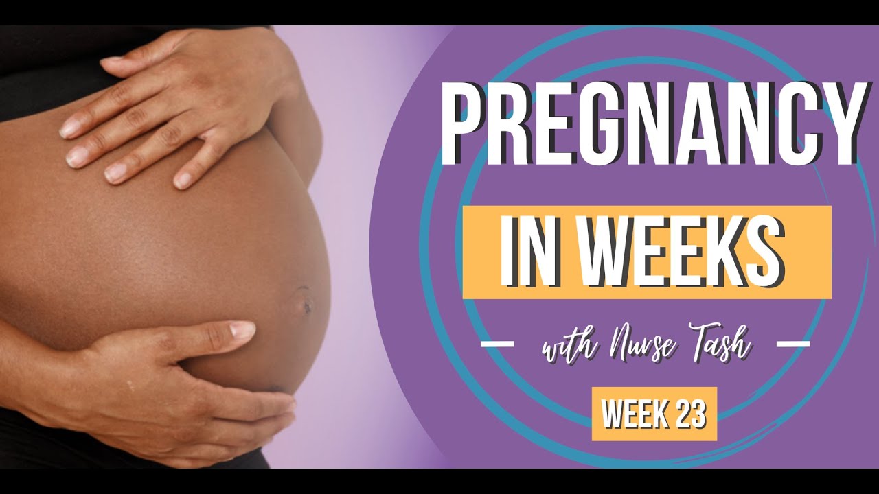 PREGNANCY IN WEEKS 23┃ WEEK-BY-WEEK┃WEEK 23 OF PREGNANCY┃With Nurse ...