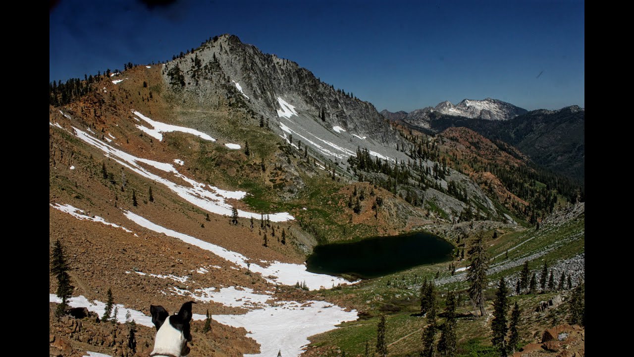 Stoney Ridge Trail Trinity Alps 6 29 16 - YouTube