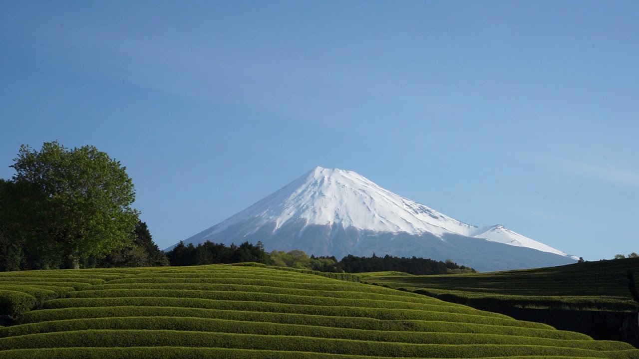 View Point of Mt.Fuji & Tea plantation Obuchi Sasaba - YouTube