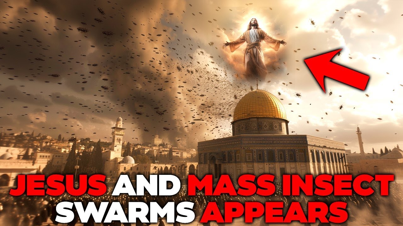 Jesus and MASS Insect Swarms Appears In Jerusalem | The SECOND COMING ...