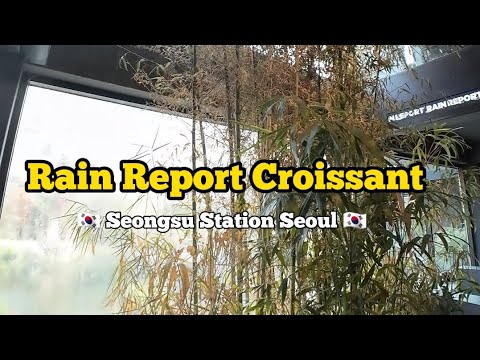 🇰🇷🇵🇭 Rain Report Croissant 🇵🇭🇰🇷 레인리포트 SEOUL - - YouTube