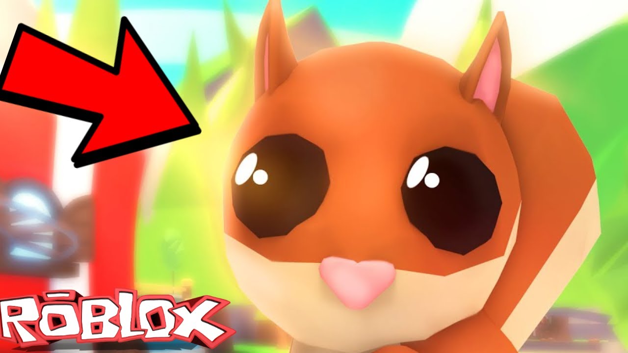 Giving Away The New Red Squirrel In Adopt Me! - YouTube