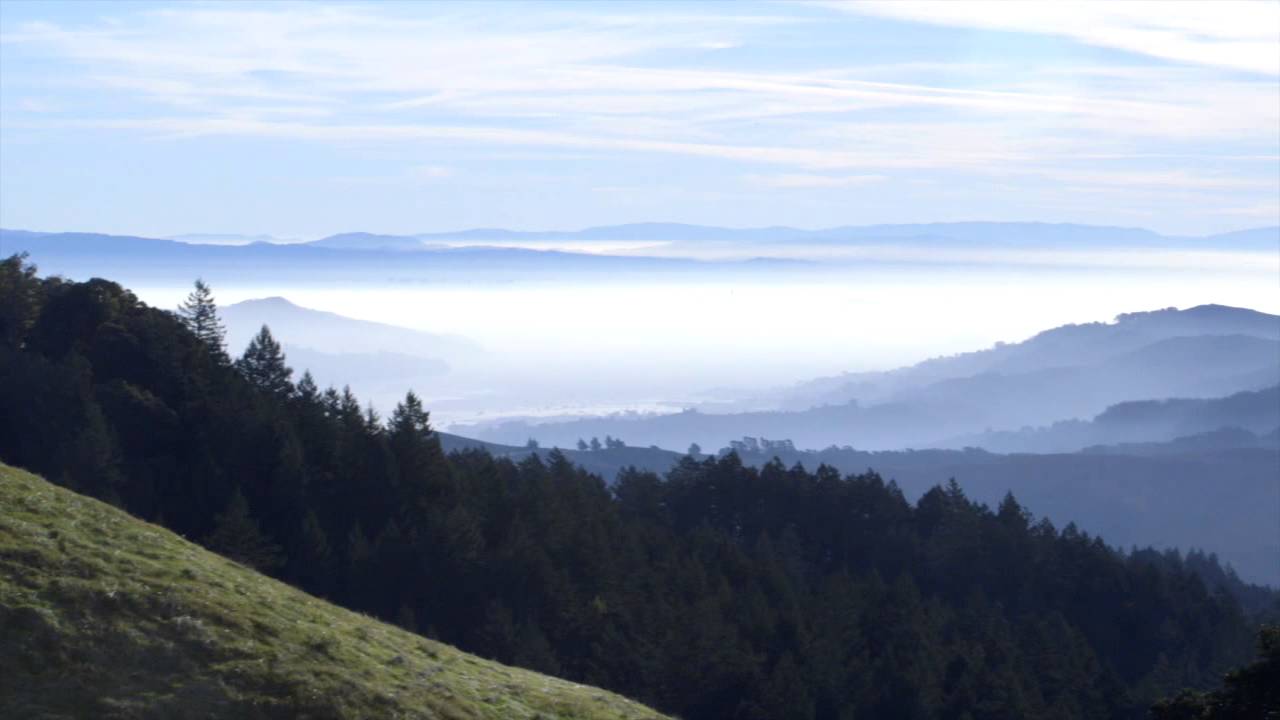 Marin Landscapes - YouTube