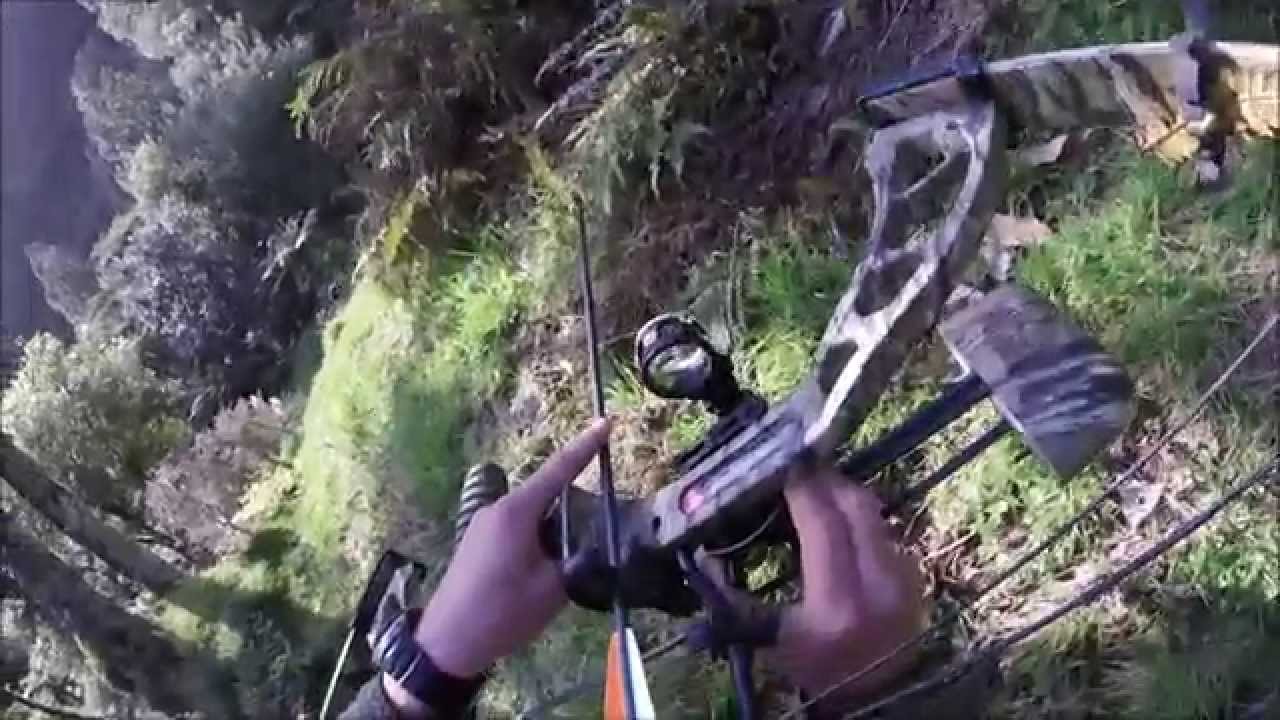 Bow hunting goats nz - YouTube
