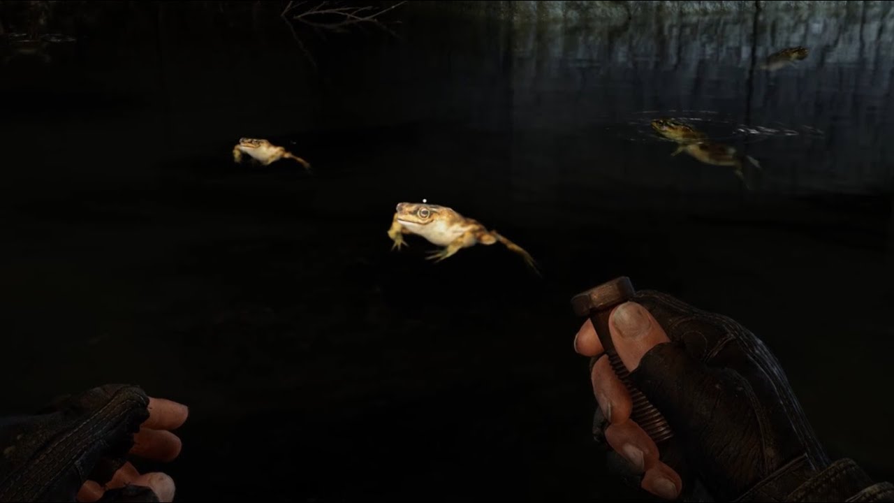 Stalker 2 - The Frog Anomaly 🐸 - YouTube