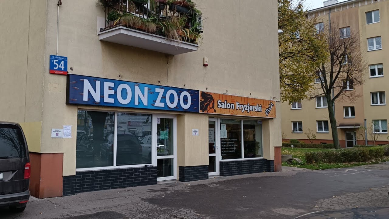 Sklep akwarystyczny NEON Warszawa - YouTube