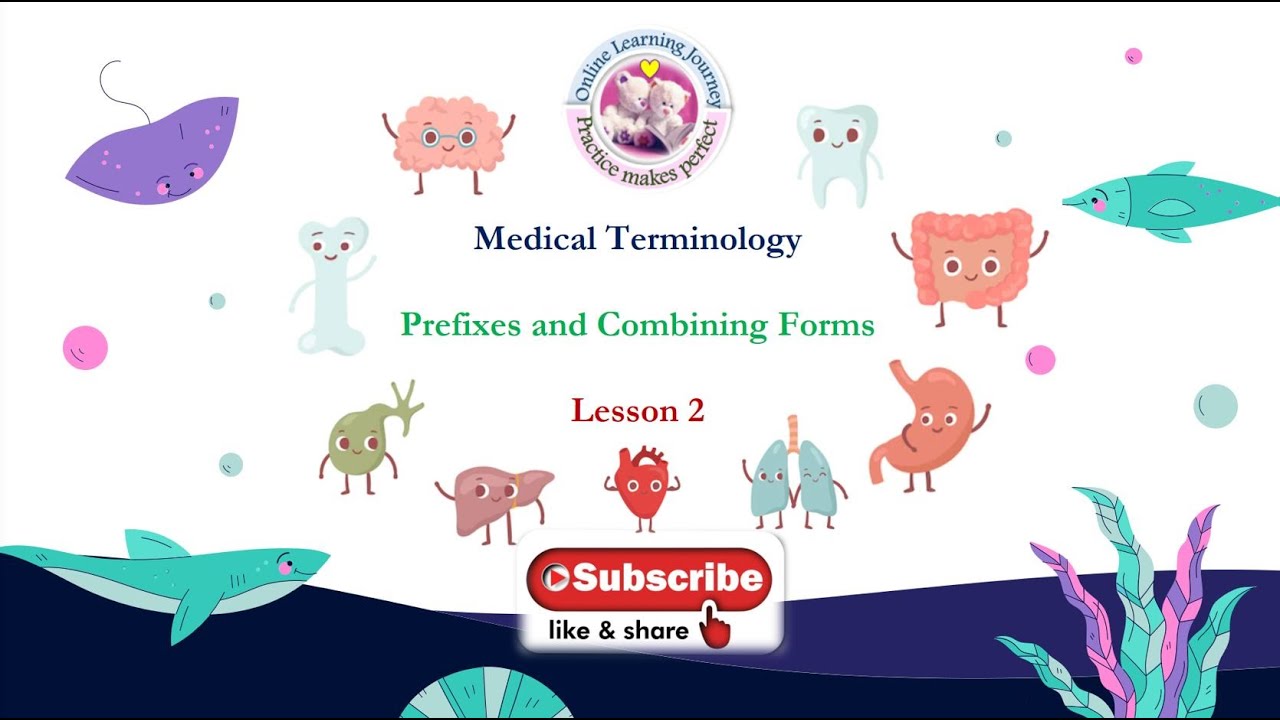 Medical Terminology I Prefixes and Combining Forms I Lesson 2 #medical ...