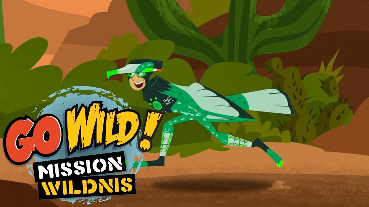 Go Wild! Mission Wildnis - Der schnellste Läufer der Wüste - Folge 19 ...