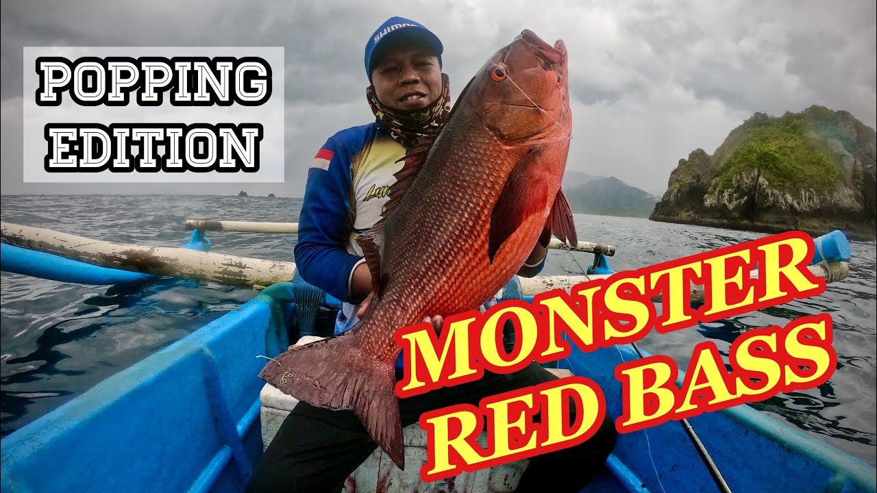 SENSASI STRIKE BABON RED BASS | (VLOG Mancing Episode #22) - YouTube