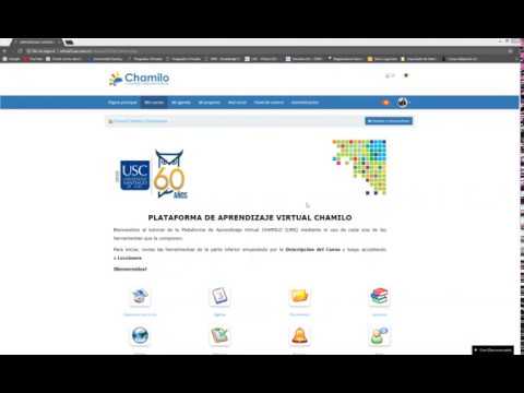 Tutorial Foros Chamilo - YouTube