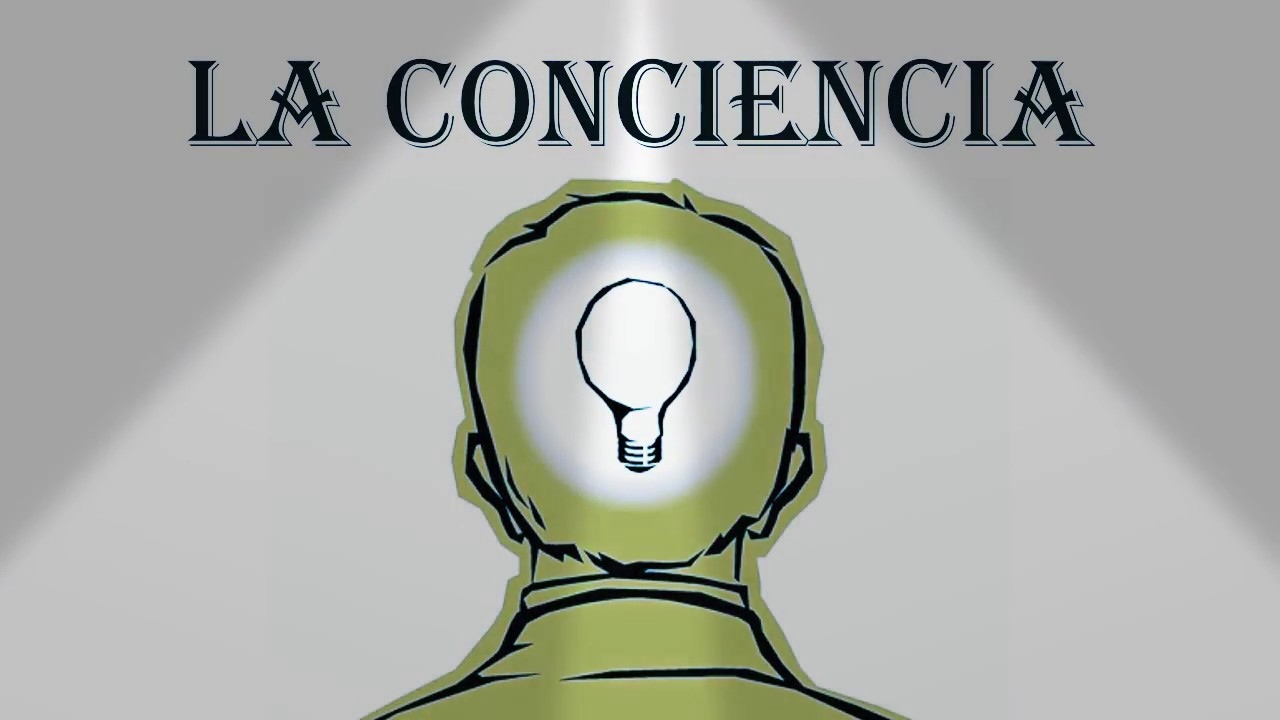 La Conciencia Y Sus Clases - YouTube