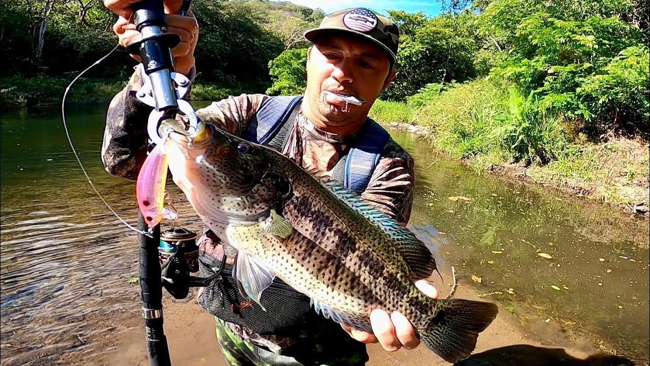 Pesca de Guapote y Machaca en río Tempisque de Guanacaste Costa Rica ...