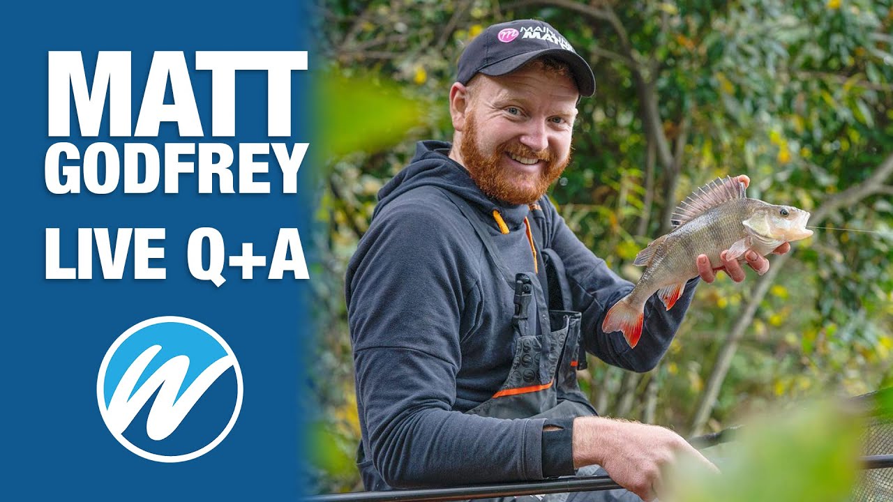 Members Live Stream - With Matt Godfrey - YouTube