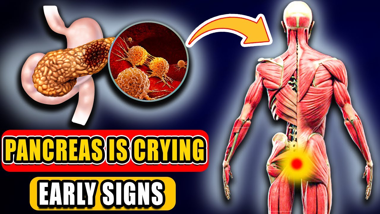 6 Signs Your Pancreas Is Crying For Help & Tips To Heal It Naturally ...