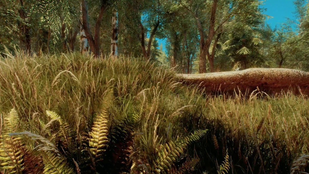 Skyrim Special Edition Riften Forest - YouTube