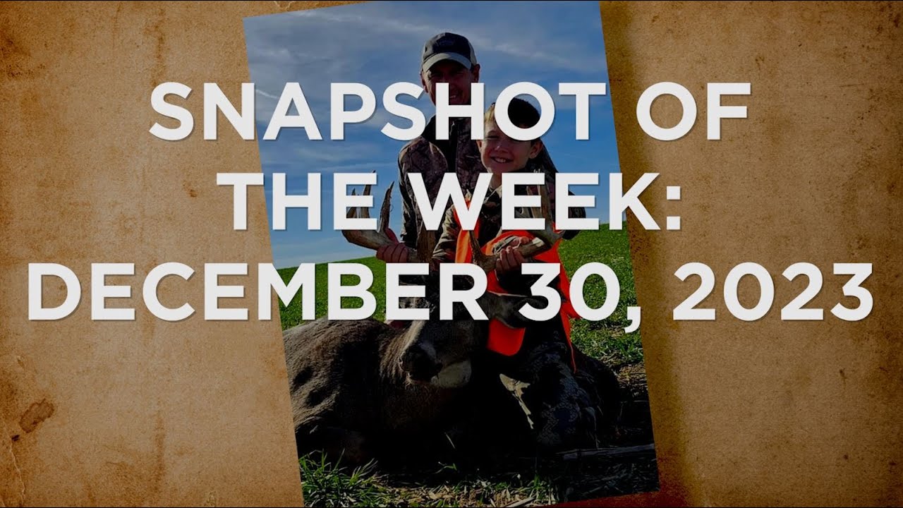 Snapshot of the Week: December 30, 2023 - YouTube