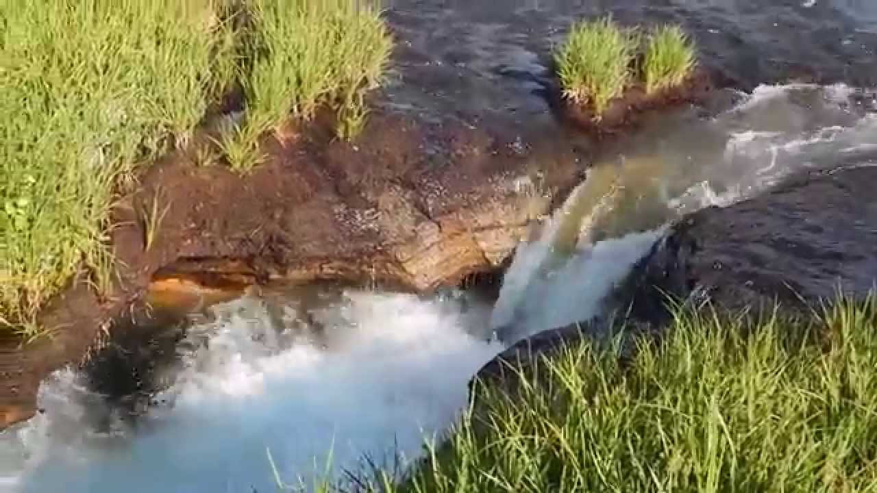 Linton Creek in Linton Meadow - YouTube