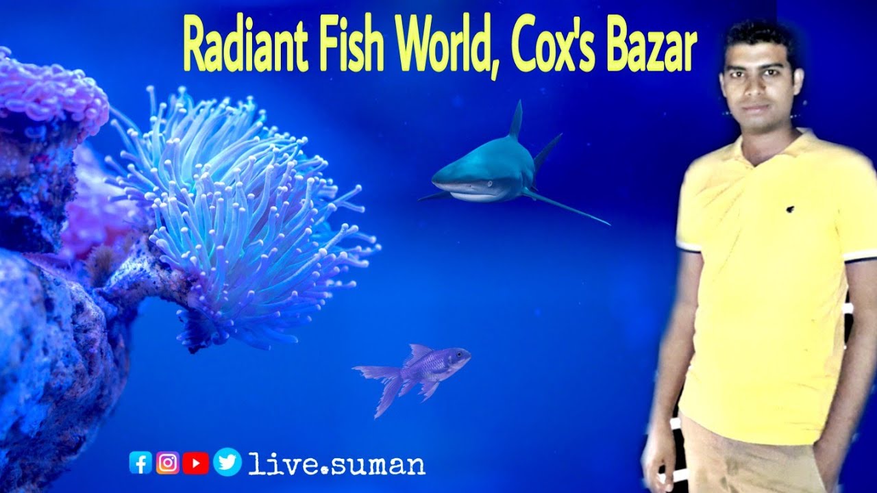 Radiant Fish World | Cox's Bazar | Bangladesh Largest Fish Aquarium ...