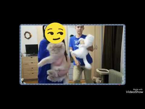 Funny moments Cocolix🤣🤣🤣🤣🤣🤣 - YouTube