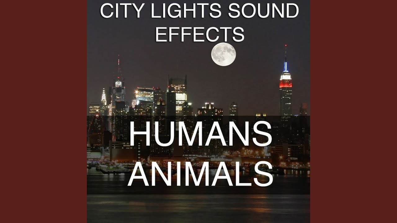 Laughing Male Joke Sound Effects Sound Effect Sounds EFX Sfx FX Human ...