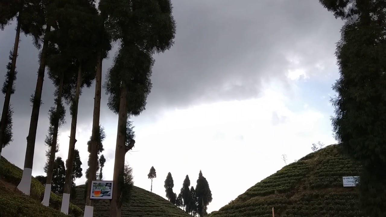 Mirik tea garden - YouTube