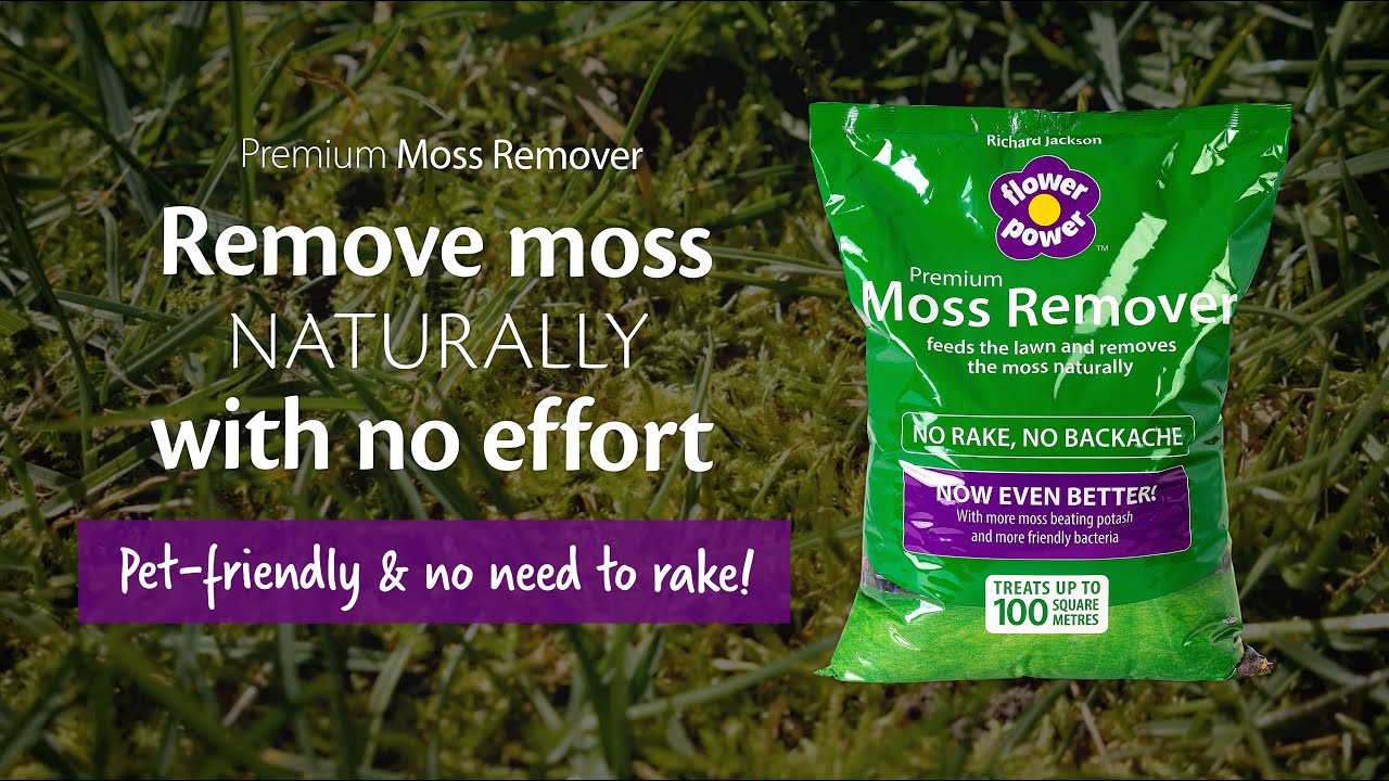 Flower Power Moss Remover - YouTube