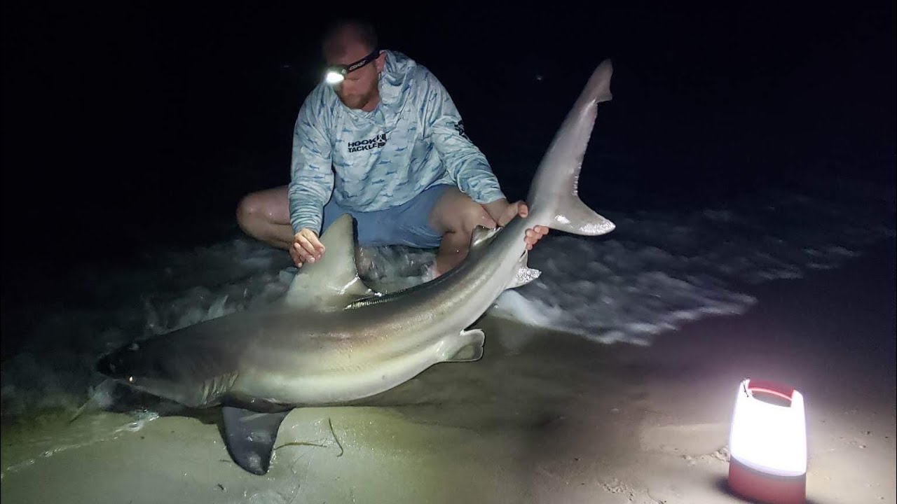 Shark Fishing Cape Cod - YouTube