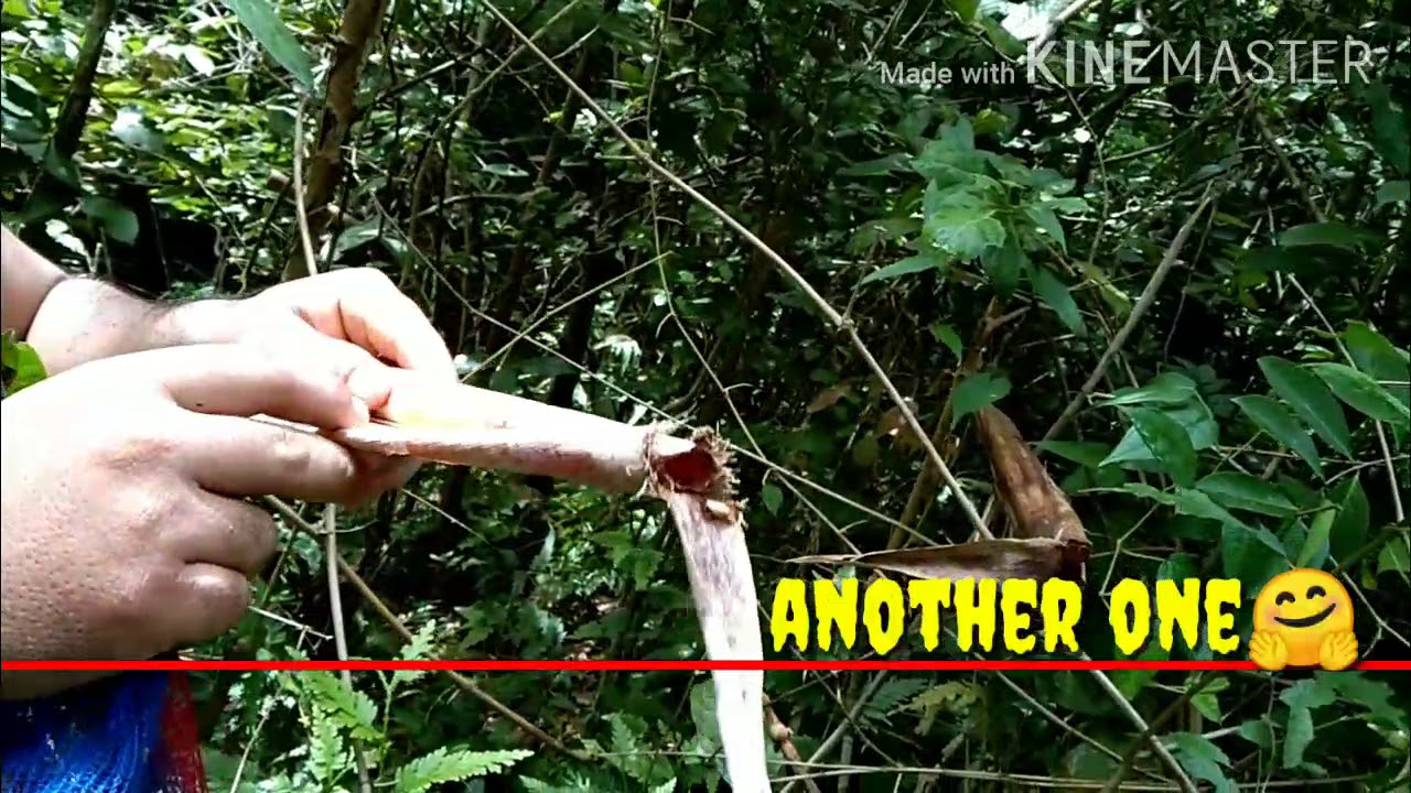 Takyong/Takdong_sa_BORBON_CEBU_PROVINCE😋 - YouTube