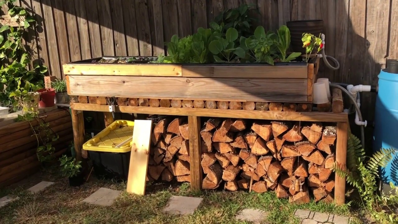 November Koi Pond Aquaponics Update - YouTube