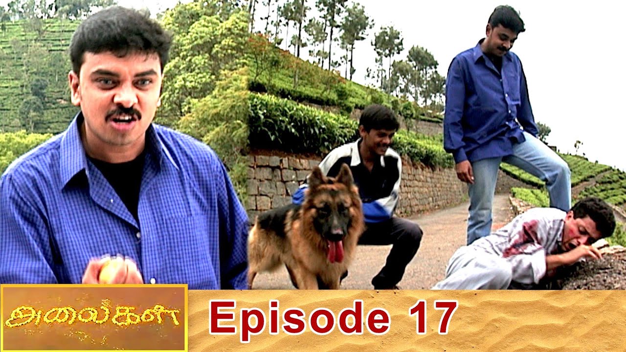 Alaigal Episode 17, 21/04/2020 | #VikatanPrimeTime - YouTube