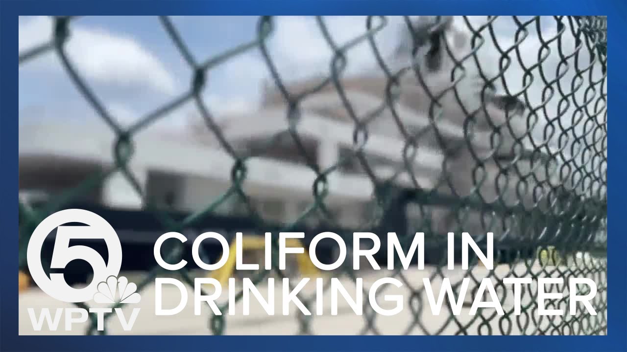 Coliform found in Port of Palm Beach drinking water - YouTube