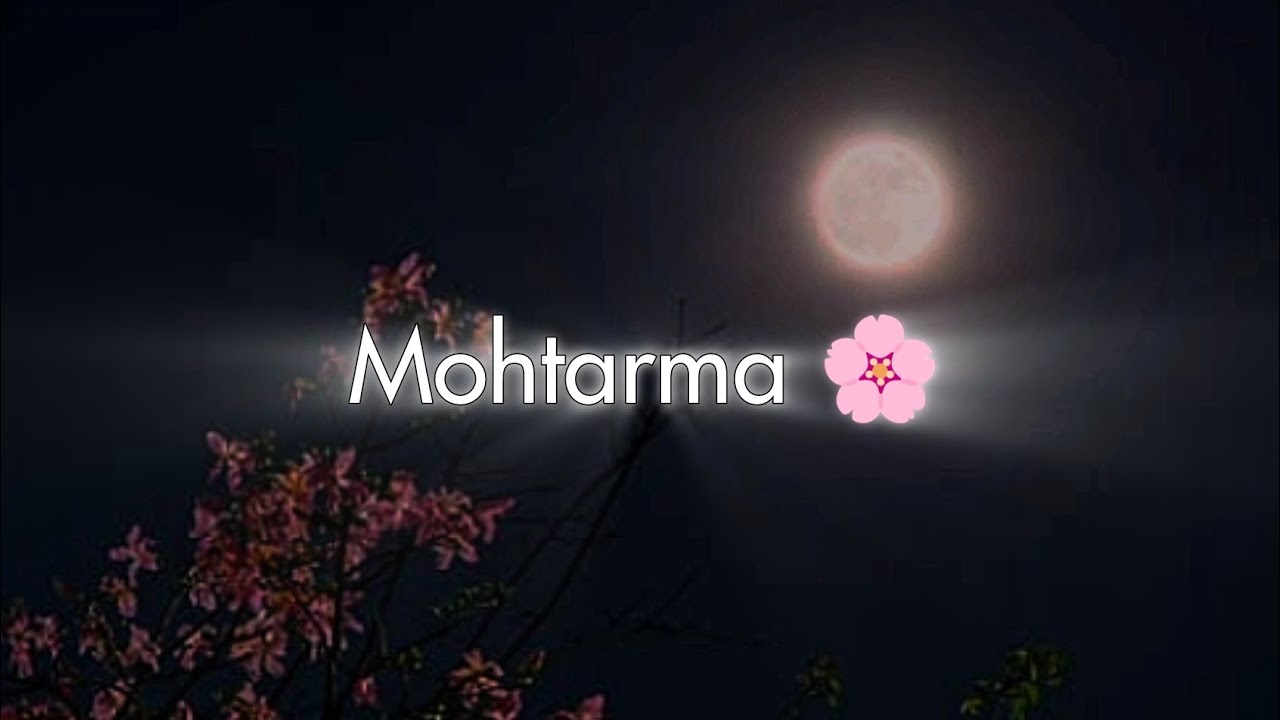 #mohtarma lofi song 🌸 || reverb song || #song #hariyanvisong - YouTube