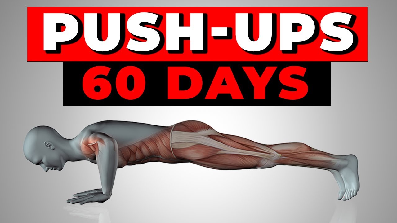 The incredible results of doing Push Ups for 60 Days revealed - YouTube