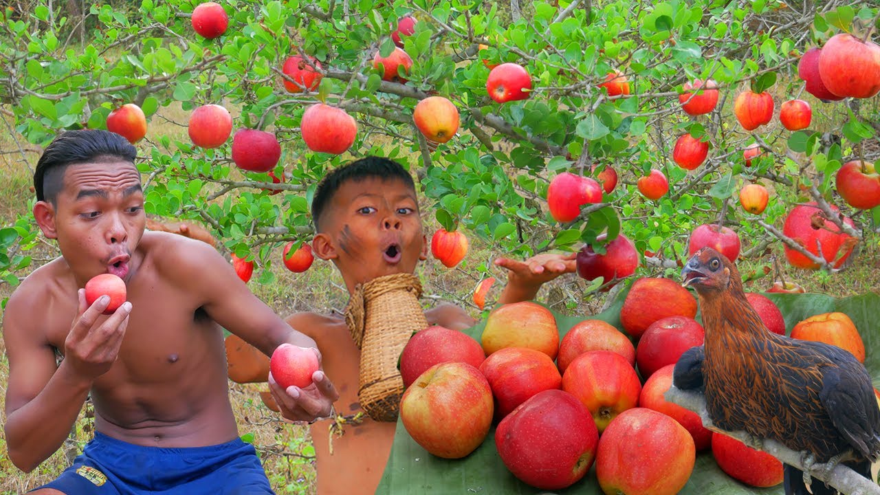Primitive Technology: Cooking Chicken Underground & Meet Rich Fruit in ...
