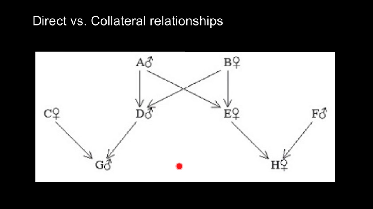 Direct vs. Collateral relationships - YouTube