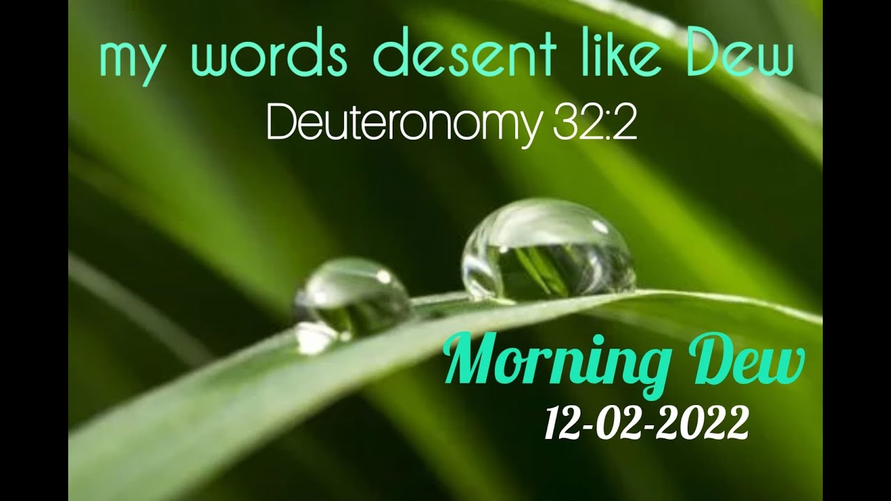 - Morning Dew Morning Devotion 11-02-2022 - YouTube