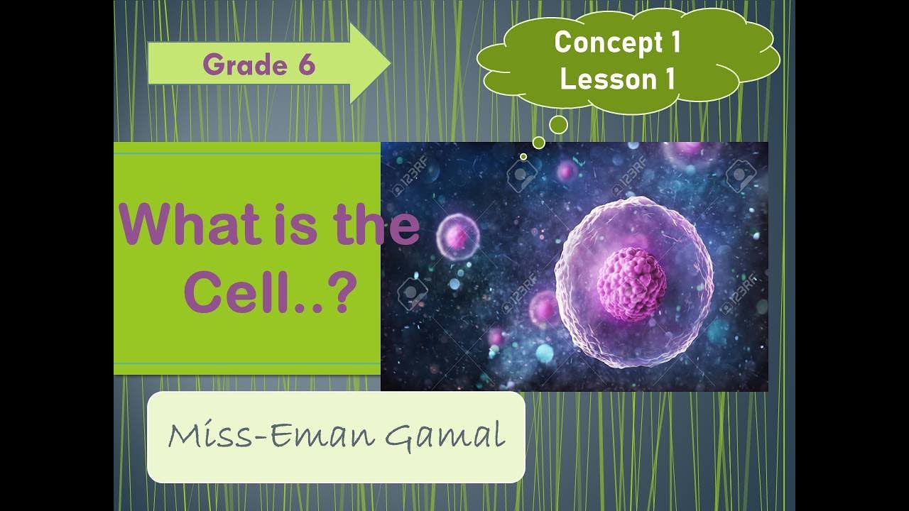 Science Grade 6 | Unit 1 - Lesson 1 - Concept 1 | What is the Cell ...