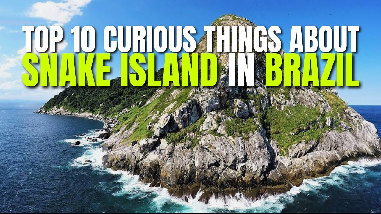 Top 10 Curious Things About Snake Island In Brazil - YouTube