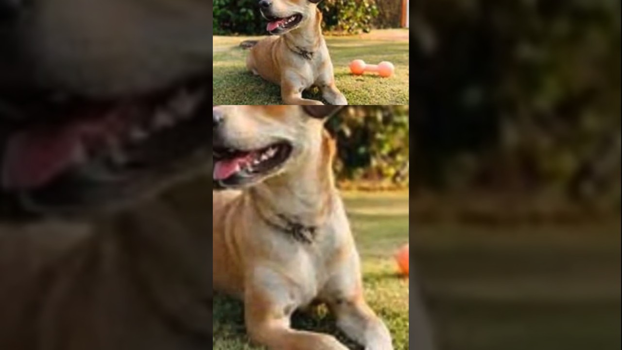 18 de abril de 2025 - YouTube