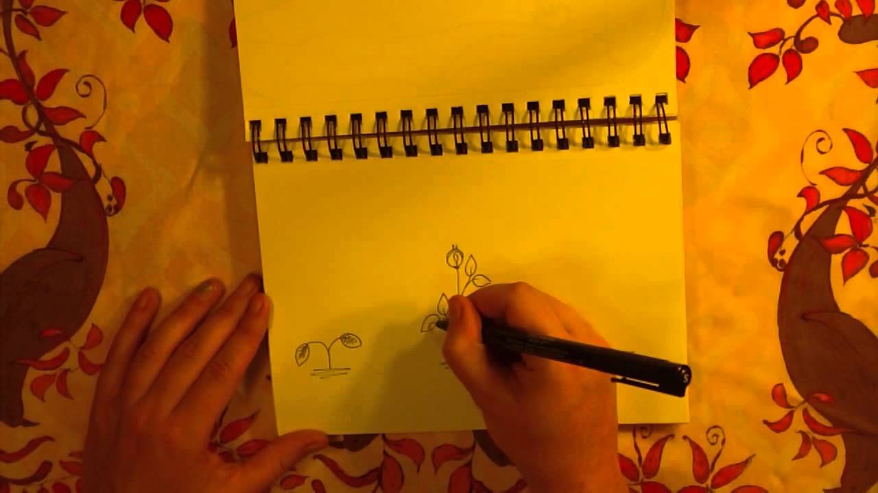 ASMR Storytelling - The Little Prince Chapters 7 - 8 - YouTube