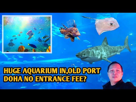 HUGE AQUARIUM IN, OLD PORT DOHA NO ENTRANCE FEE ? / NAPAKALAKING AQUARIUM DITO SA DOHA QATAR #qatar