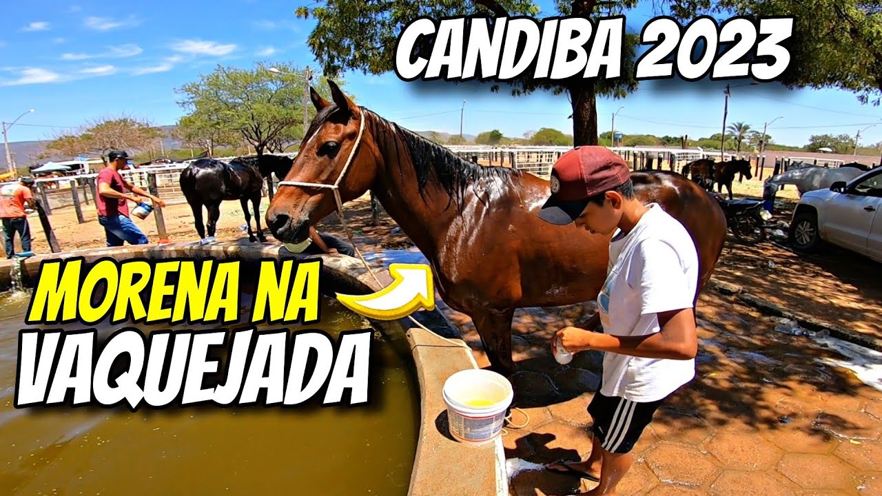 VLOG NA VAQUEJADA DO PARQUE JOSÉ VAQUEIRO EM CANDIBA BAHIA. - YouTube