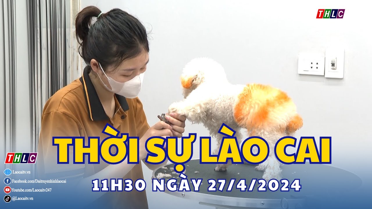 Thời sự Lào Cai 11h30 (27/4/2024) | THLC - YouTube