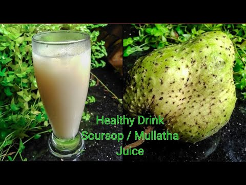 | മുള്ളാത്ത ജ്യൂസ്| How to make soursop juice at home | Mullatha juice ...