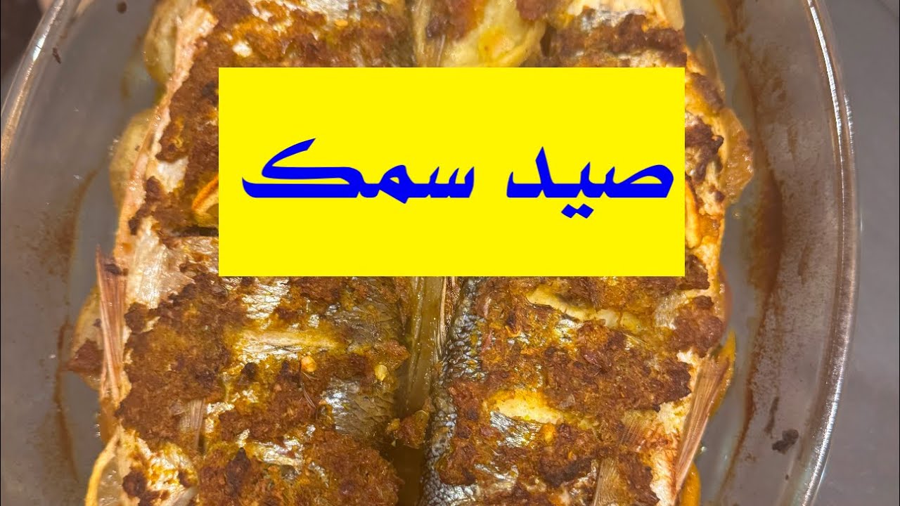 صيد سمك متعه وقت الفراغ Youtube