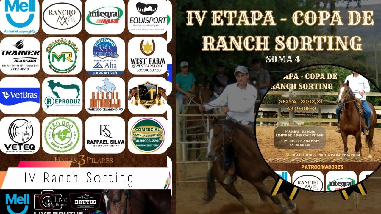 IV ETAPA - COPA RANCH SORTING - YouTube