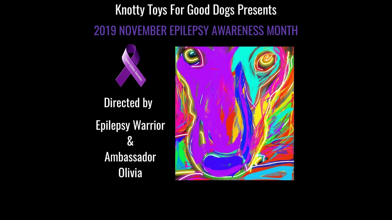 Olivia's November Epilepsy Awareness Month 2019 - YouTube